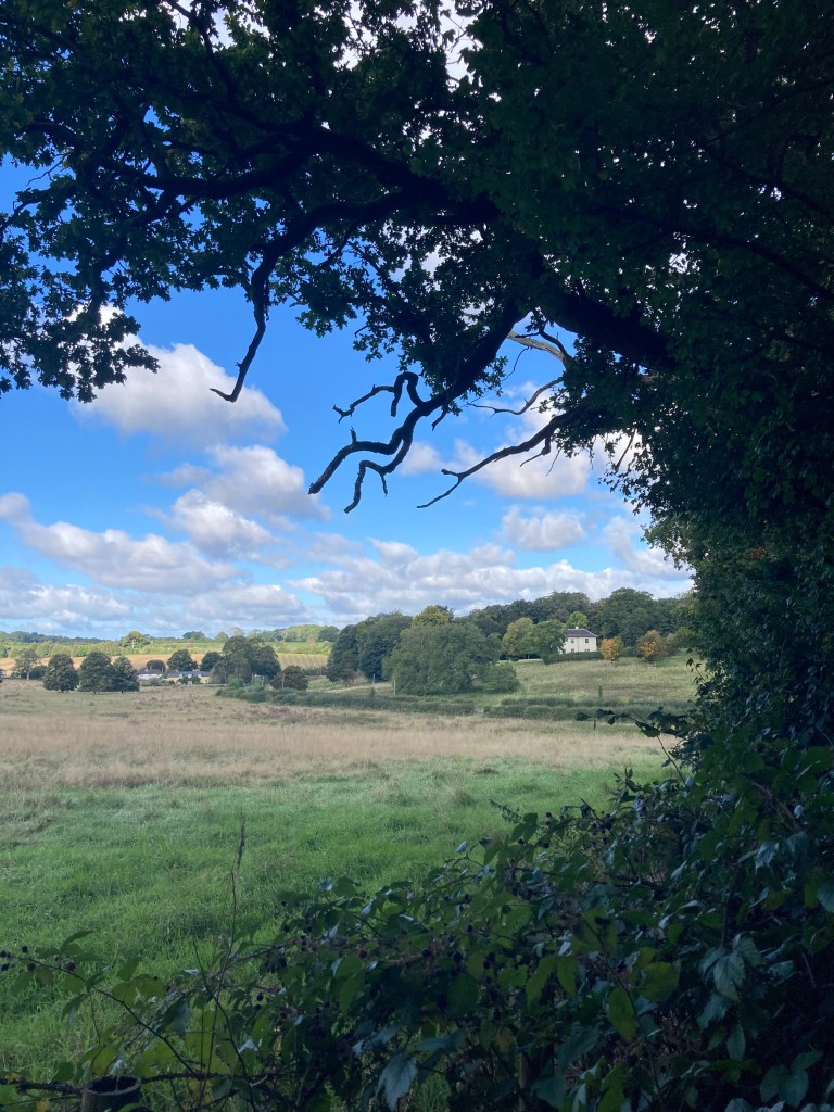 “the cradle of her genius”: Jane Austen and Steventon – Dr. Lizzie Rogers