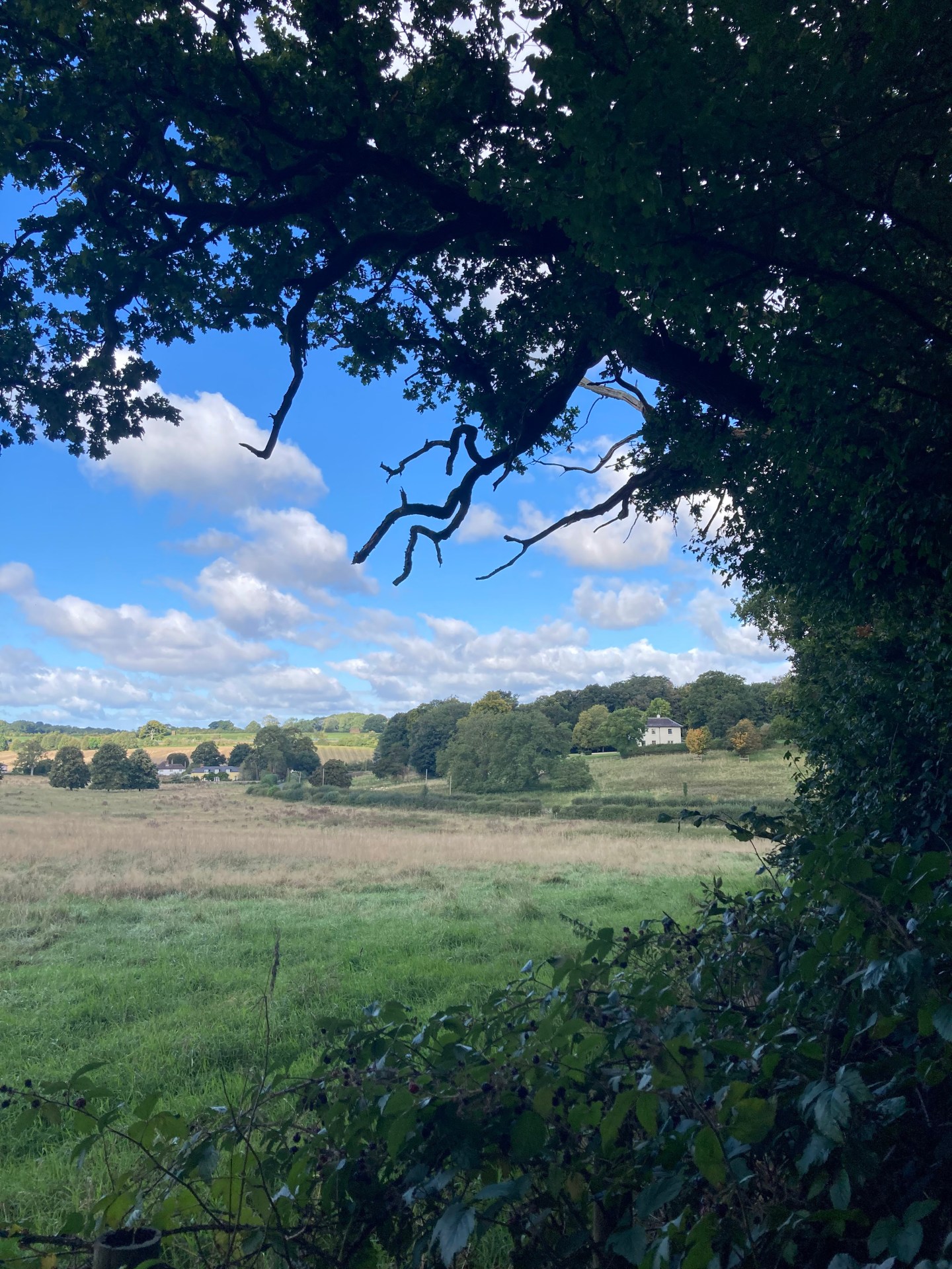 “the cradle of her genius”: Jane Austen and Steventon – Dr. Lizzie Rogers