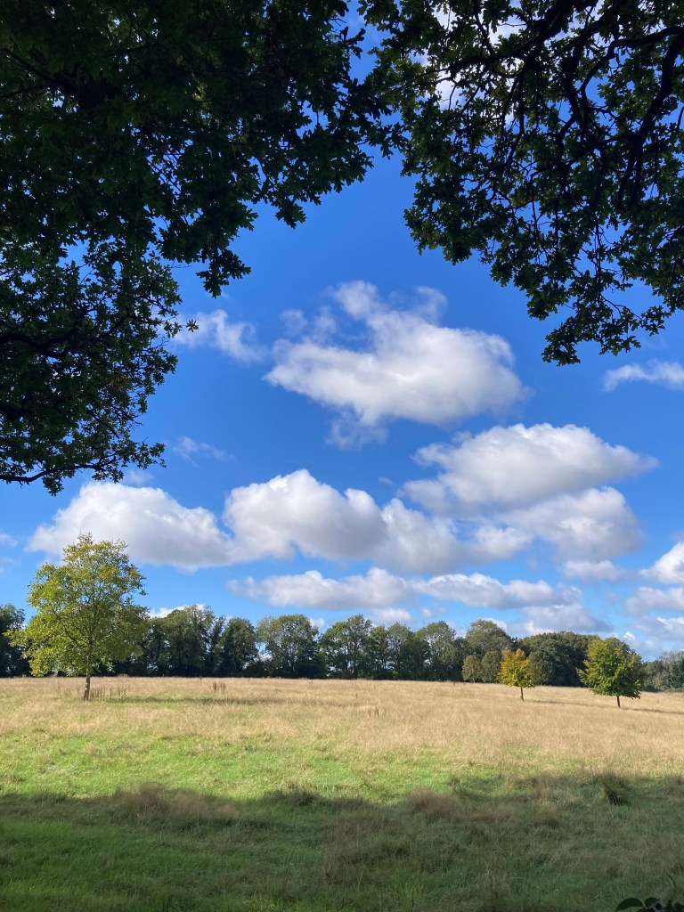 “the cradle of her genius”: Jane Austen and Steventon – Dr. Lizzie Rogers